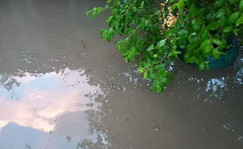 ძლიერმა წვიმამ, ქარმა და სეტყვამ თელავის მუნიციპალიტეტის სოფელი ...