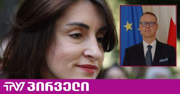 განცხადებით ვუპასუხო? - "ოცნების" საგარეო საქმეთა მინისტრი დიპლომატიურ ...